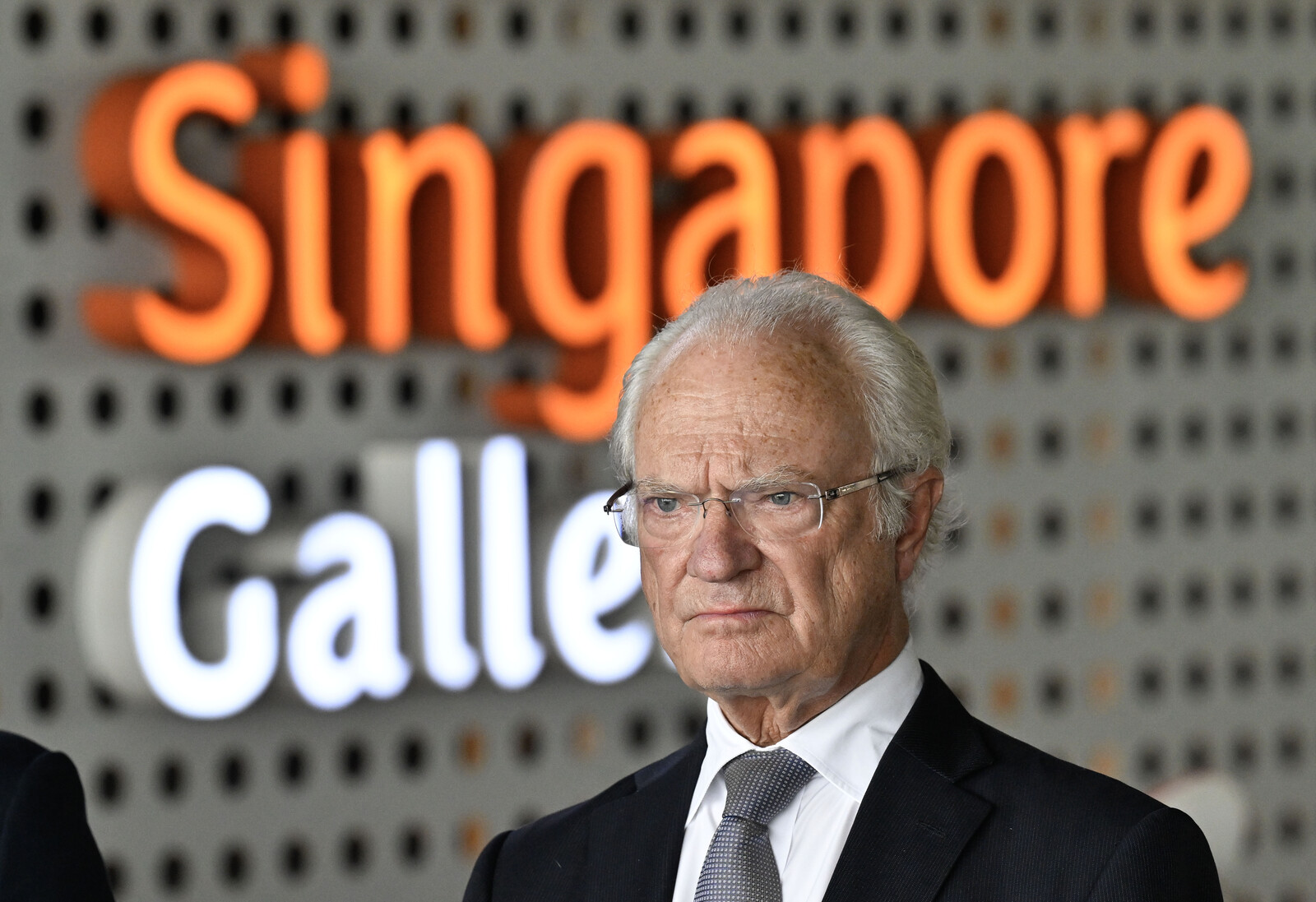 The King on the Climate Meeting: It's Moving Too Slowly | Sweden Herald