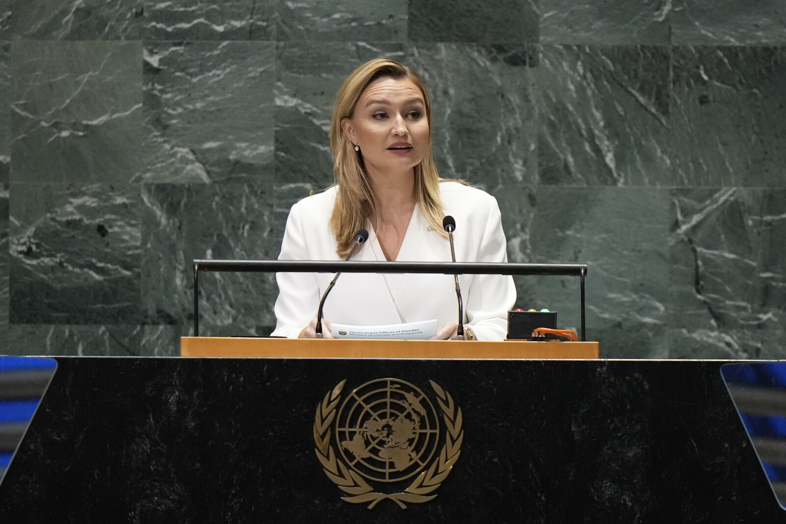 UN adopts digital guidelines – Sweden mediated | Sweden Herald