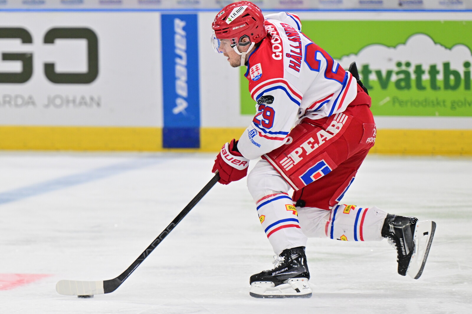 Filip Hållander Signs Two-Year Deal with Pittsburgh Penguins | Sweden ...