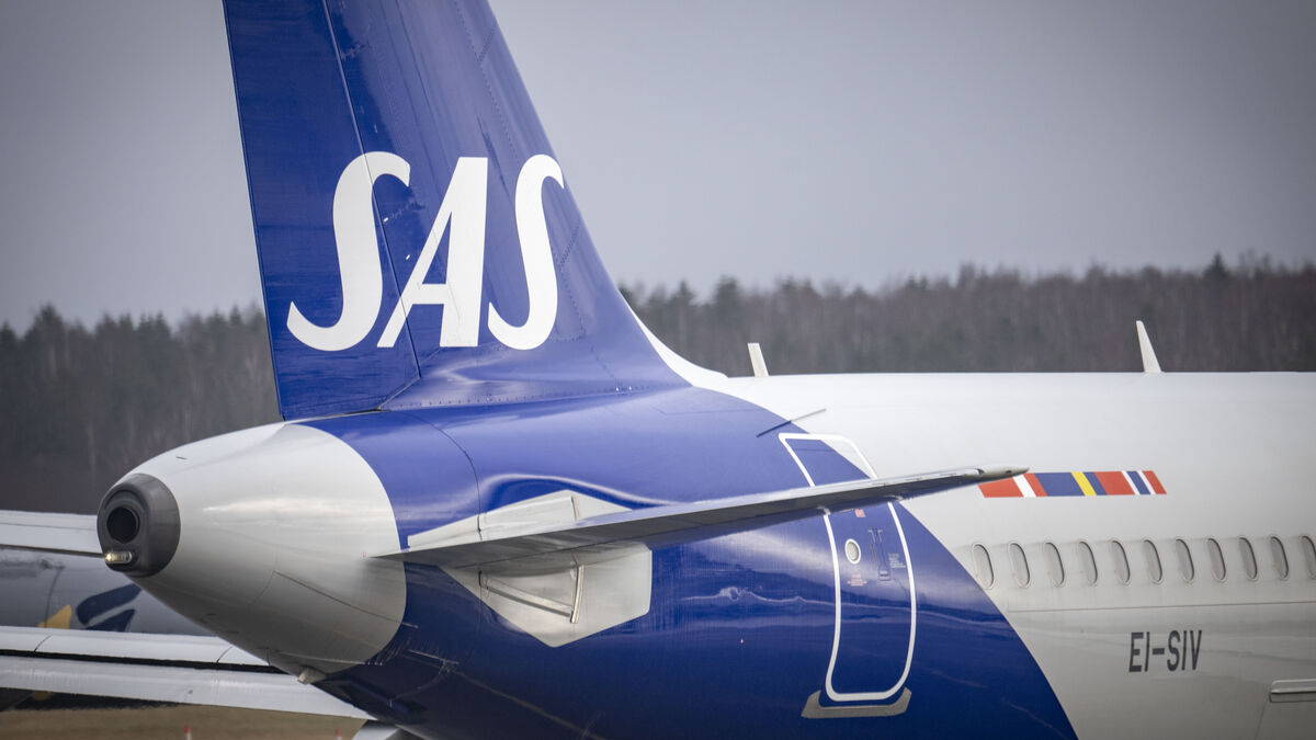 SAS plane had to turn around - mouse on board | Sweden Herald