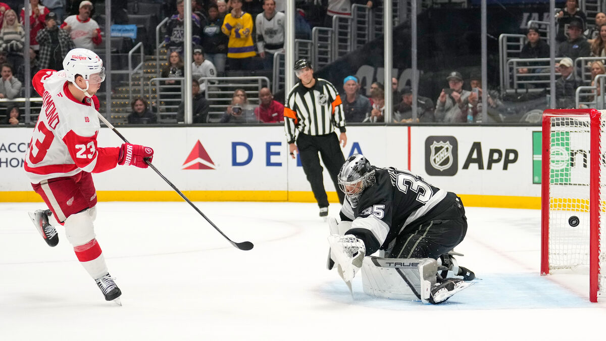 Detroit's rollercoaster game: "Strange night" | Sweden Herald