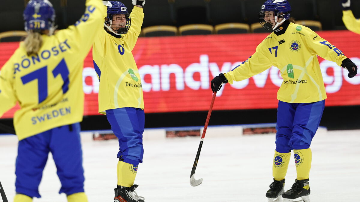 Sweden beats Finland 8-0 in Bandy World Championship opening match ...