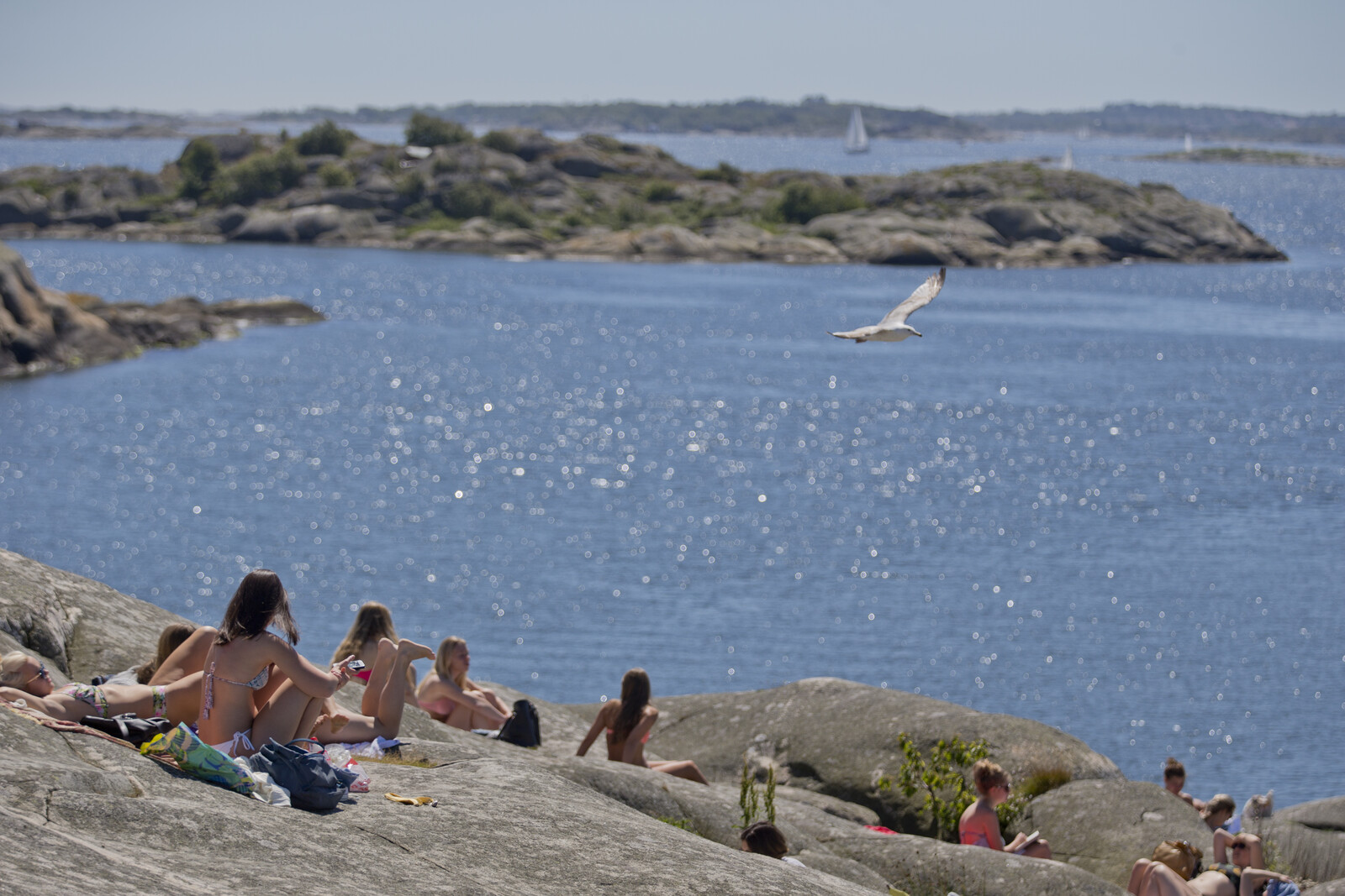 SMHI: Heat Wave Brings Year's Warmest Weekend to Sweden | Sweden Herald