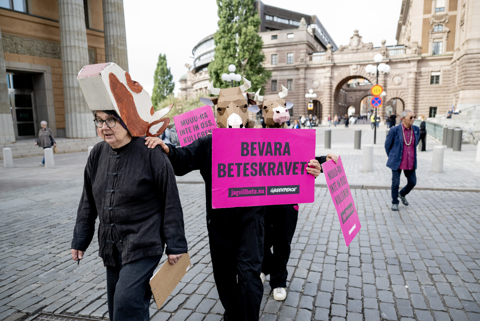 Abolishing grazing requirement for cows sparks protest | Sweden Herald
