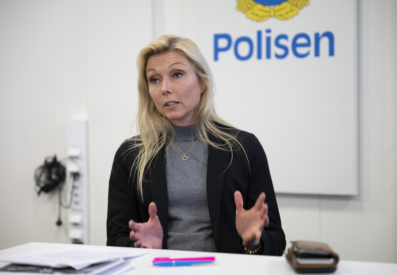 Europol ready to help Sweden | Sweden Herald
