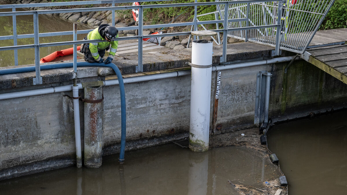 After the sewage leak - several bathing bans in Malmö | Sweden Herald