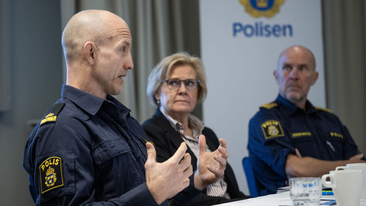 Police chief admits: Work against domestic violence failed | Sweden Herald
