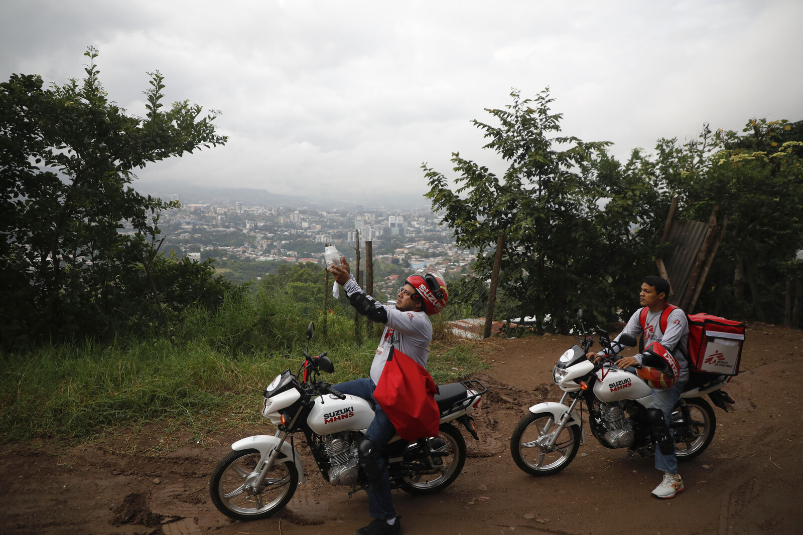 Fewer dengue cases – thanks to new mosquitoes | Sweden Herald