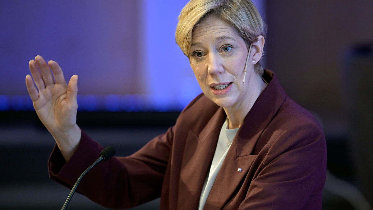 "Excellent location" as Swede takes the helm in New Zealand | Sweden Herald