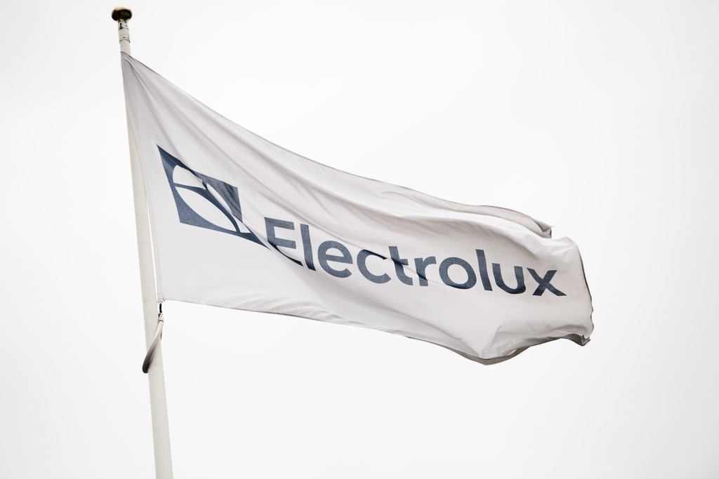 Frenchman becomes new CEO of Electrolux | Sweden Herald