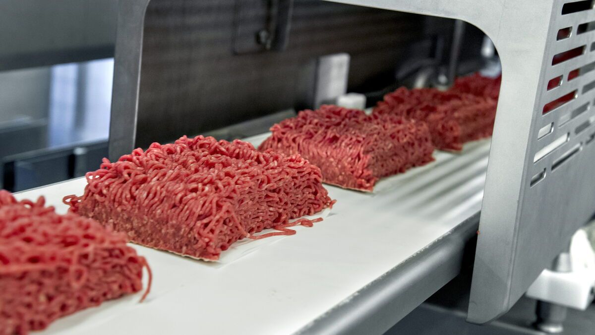 Ground Beef Prices Surge Amid Rising Food Costs | Sweden Herald