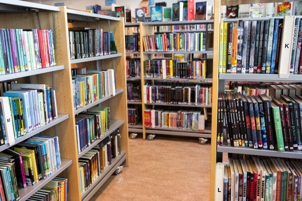 Different plans for school libraries | Sweden Herald