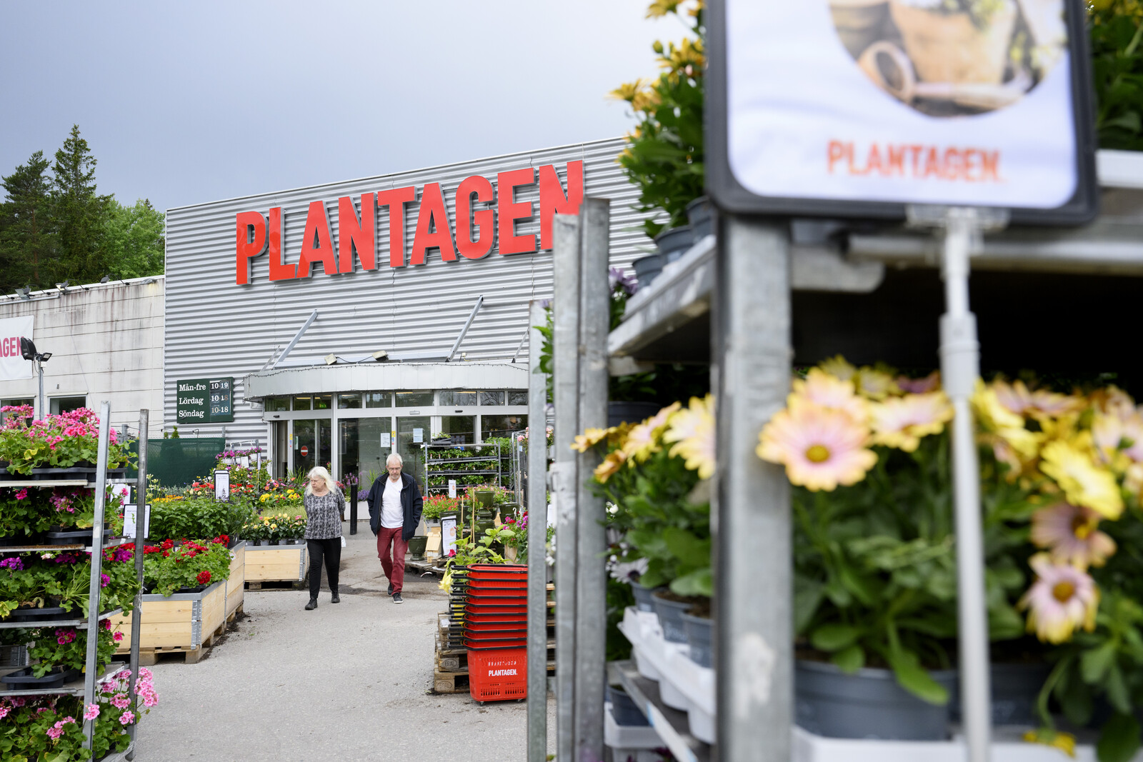 The Plant Chain Closes Stores | Sweden Herald