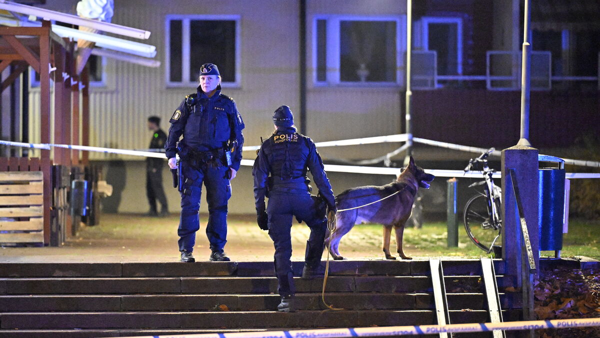 Malmö Man Sentenced to Life for Last Year's Execution-Style Murder ...