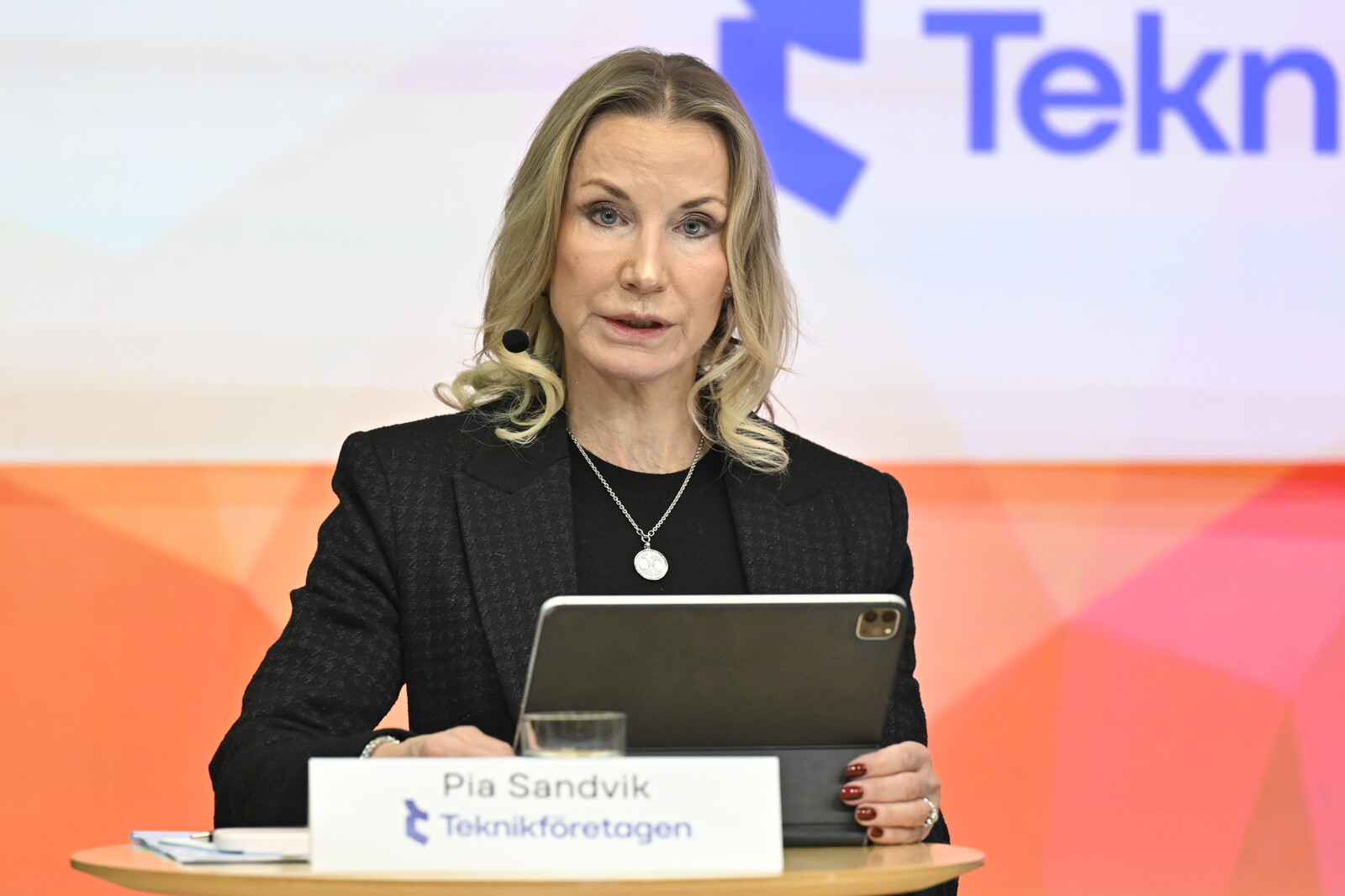 Swedish Tech Companies Face Slow Market in 2025 | Sweden Herald