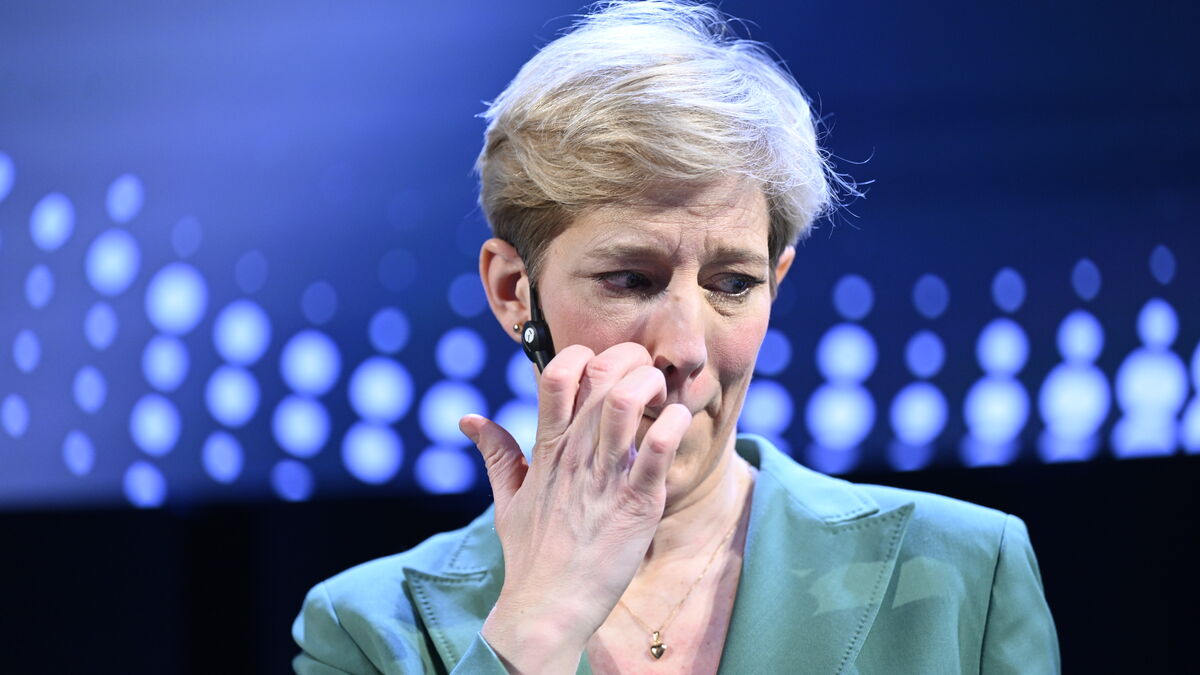 Anna Breman criticized by New Zealand foreign minister for supporting ...