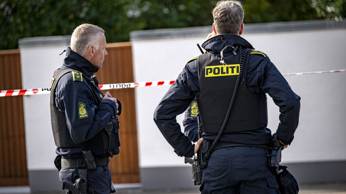Swedes in majority among Denmark's gang torpedoes | Sweden Herald