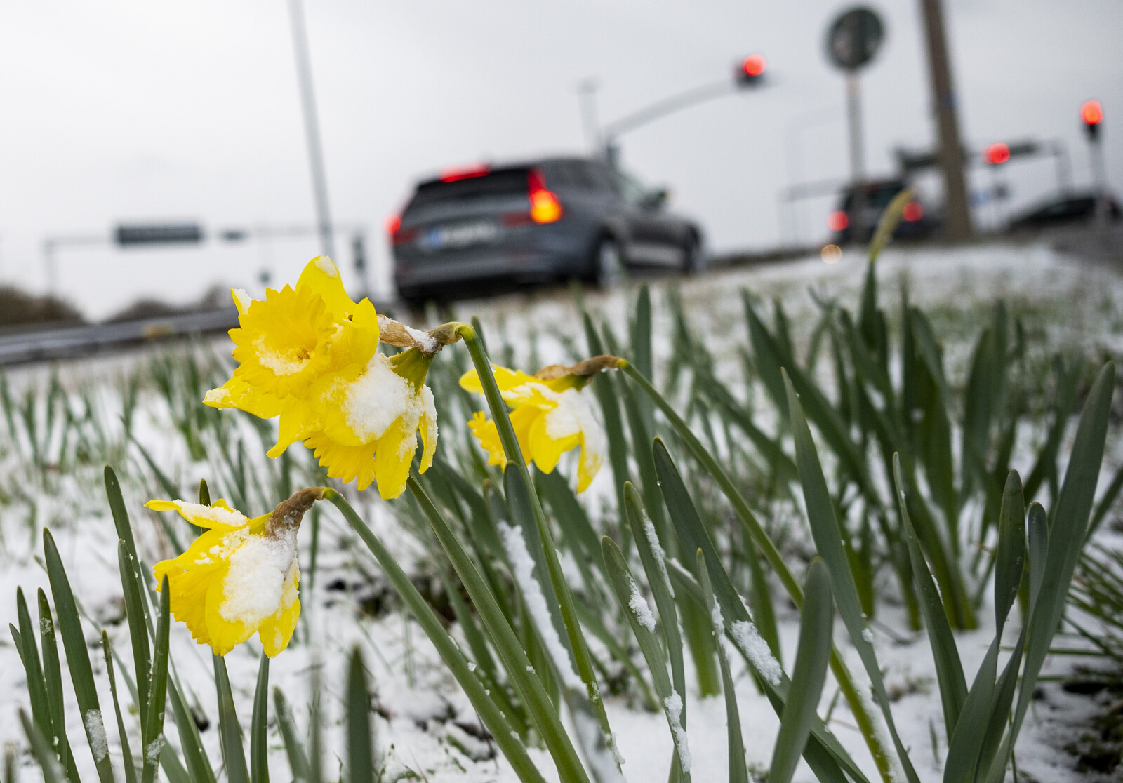 Easter Travel Chaos: Multiple Accidents Cause Major Traffic Disruptions ...