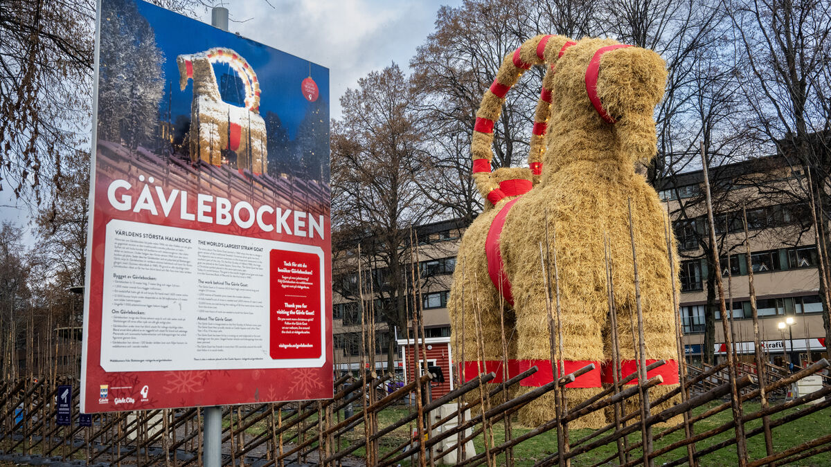 The Gävle goat is back in place | Sweden Herald
