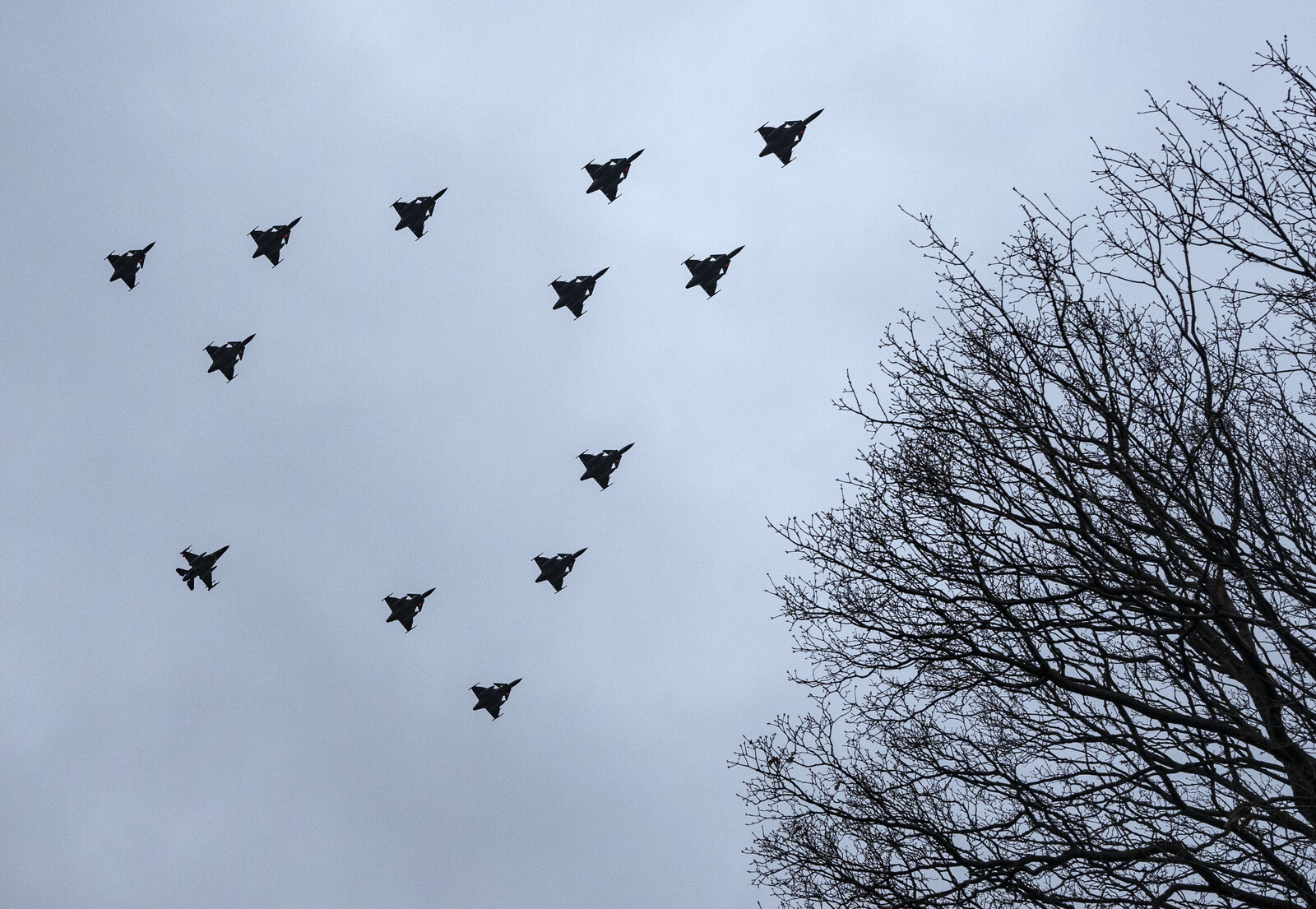 The Weather Stopped the Christmas Tree Flight | Sweden Herald