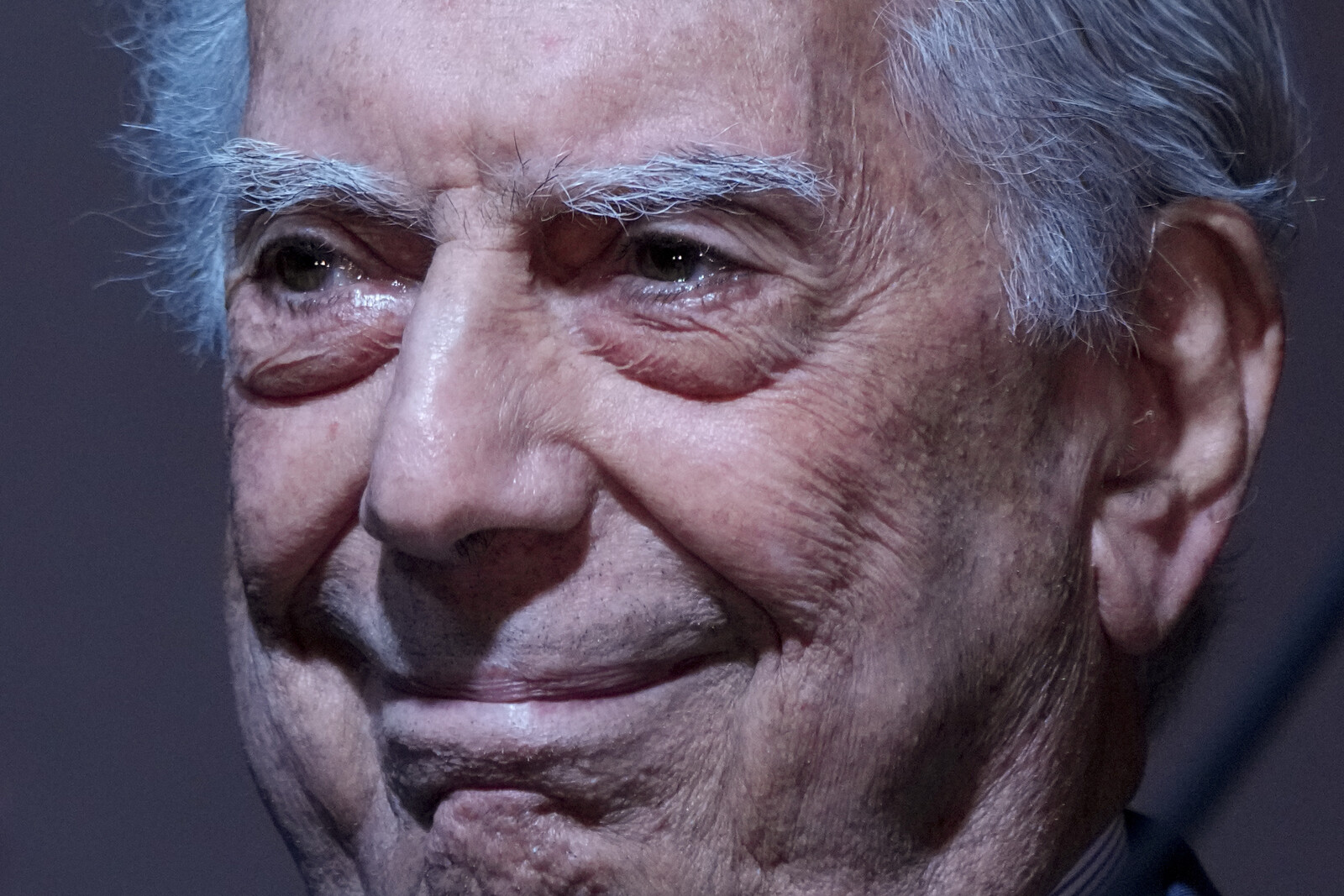 Nobel Laureate Mario Vargas Llosa Dies at 89, Leaves Literary Legacy ...
