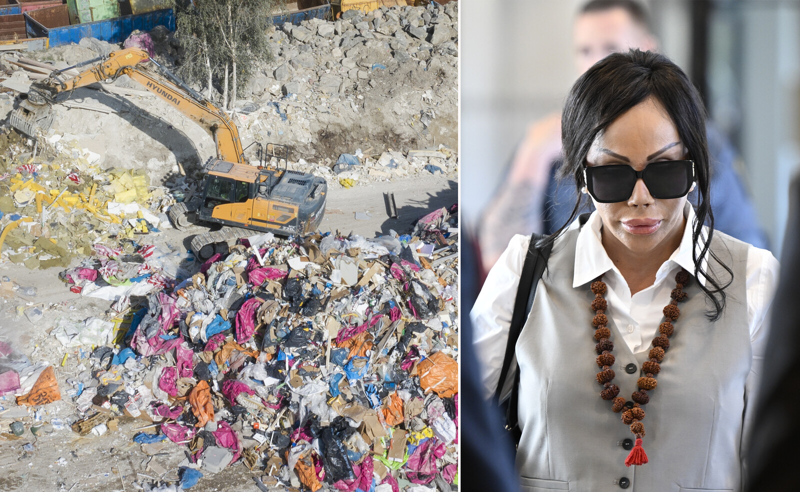 Waste Queen Fariba Vancor and Nine Others Sentenced in Think Pink Scandal | Sweden Herald