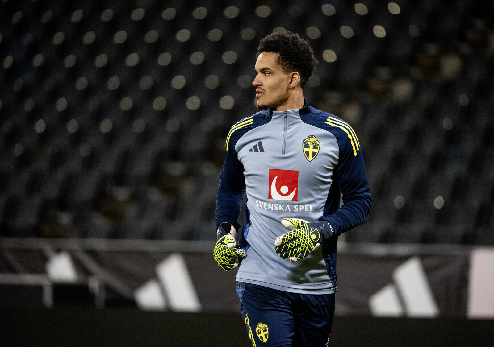Swedish Goalkeeper Oliver Dovin's Season Ends with Cruciate Injury ...