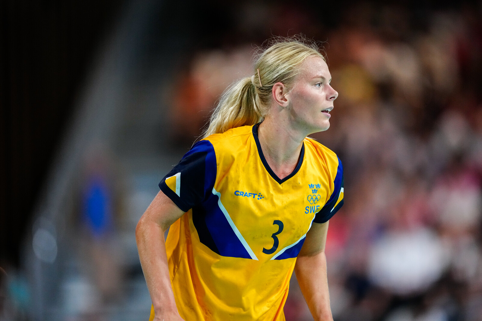 The Swedish star confirms: misses European Championship | Sweden Herald