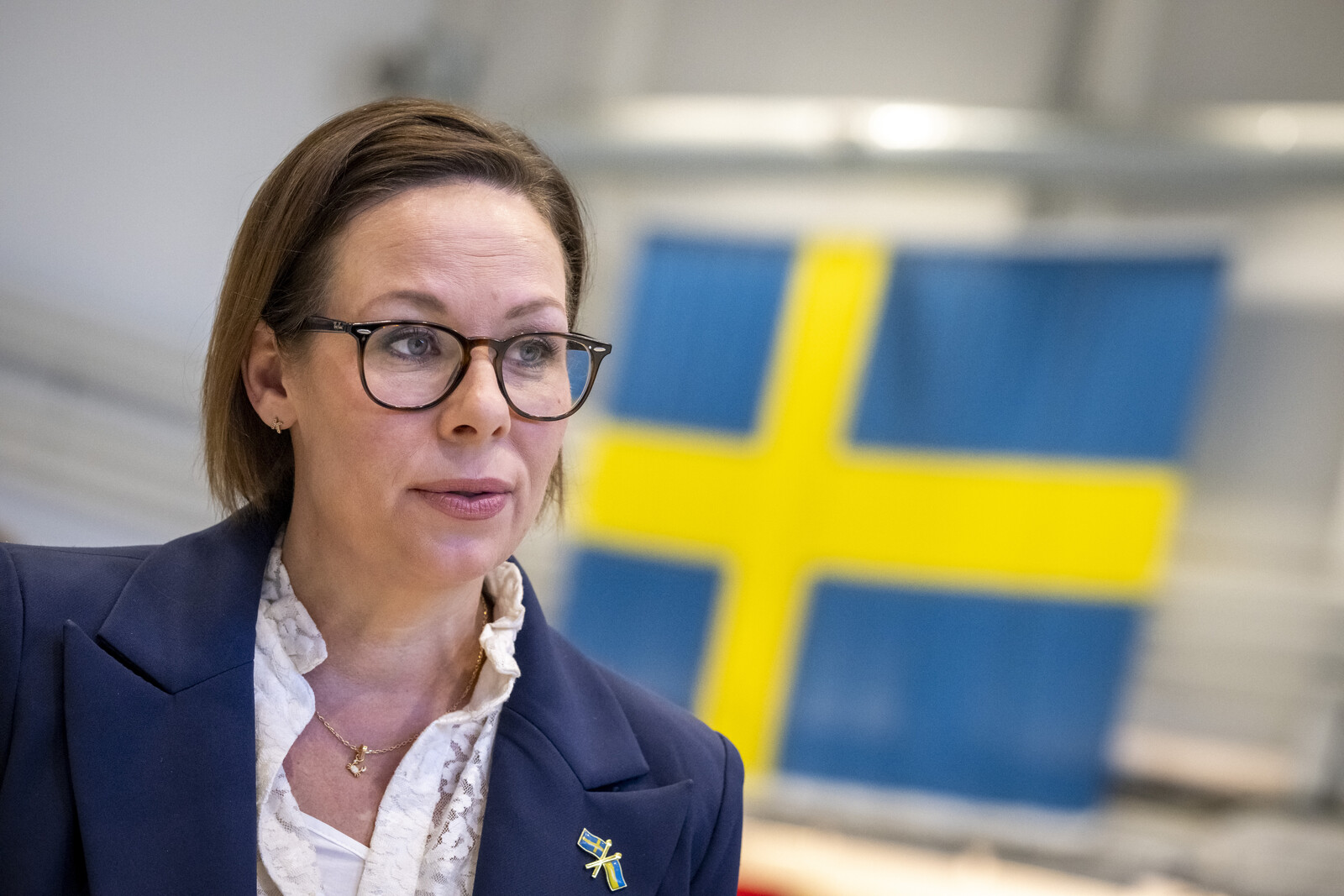 Malmer Stenergard: Genocide Term Requires Legal Definition | Sweden Herald