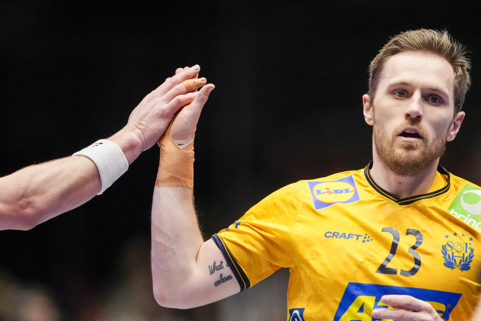 Albin Lagergren Honored as Swedish Handball Player of the Season ...