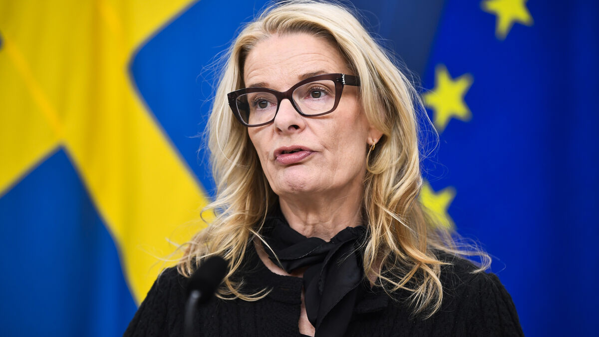 New school money divides the government | Sweden Herald