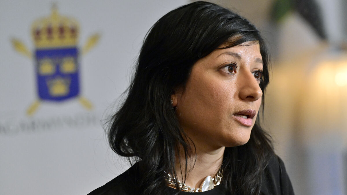 Sentence against IS woman spreads in Europe – "groundbreaking" | Sweden ...