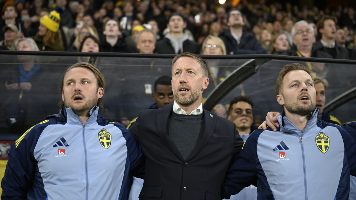Swedish national team coach Björn Hamberg takes over Elfsborg | Sweden ...
