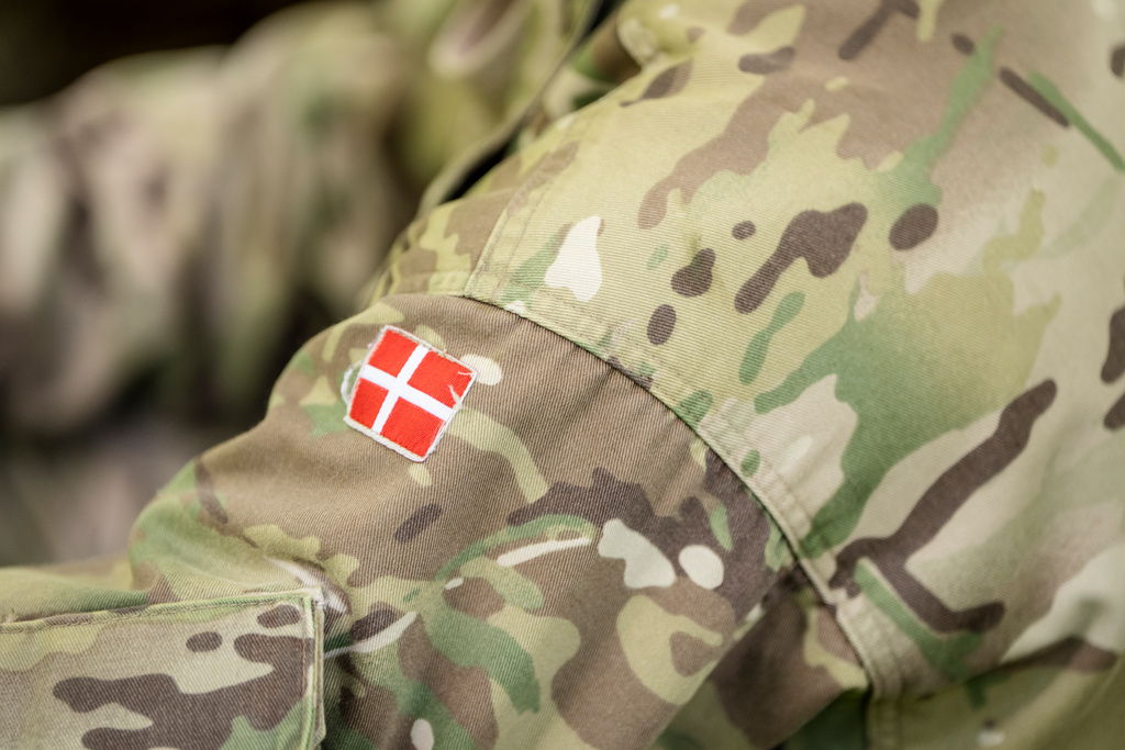 Danish Defence Forces Cut Back | Sweden Herald