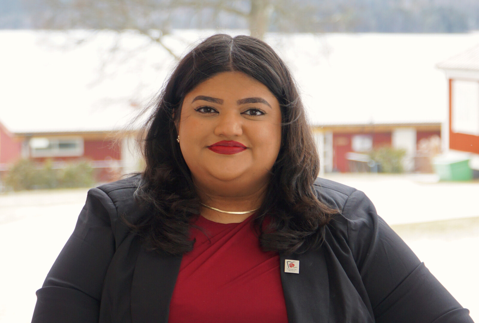 Swedish Social Democratic Youth League Advocates for NATO Exit | Sweden ...