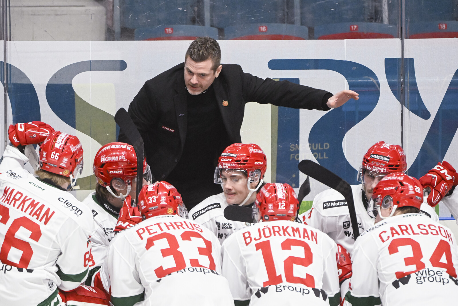 Daniel Hermansson Named Skellefteå AIK's New Head Coach | Sweden Herald