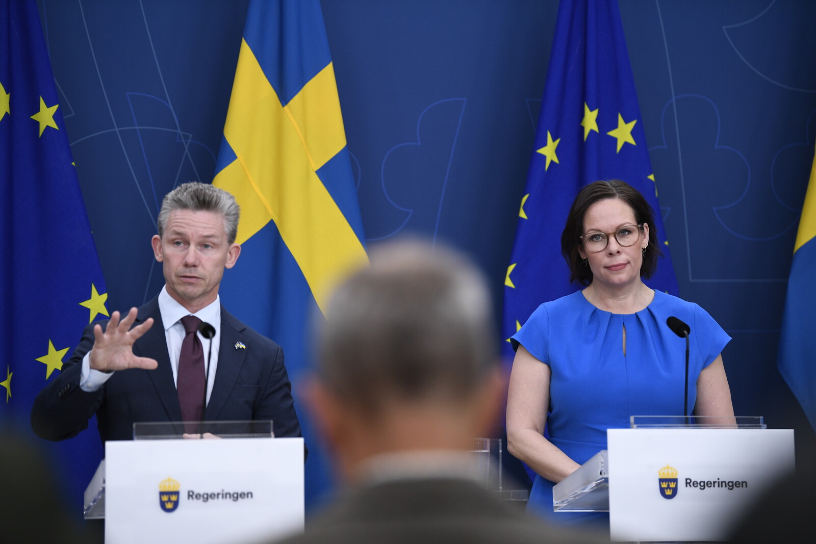This is how Sweden will contribute to NATO's defense | Sweden Herald