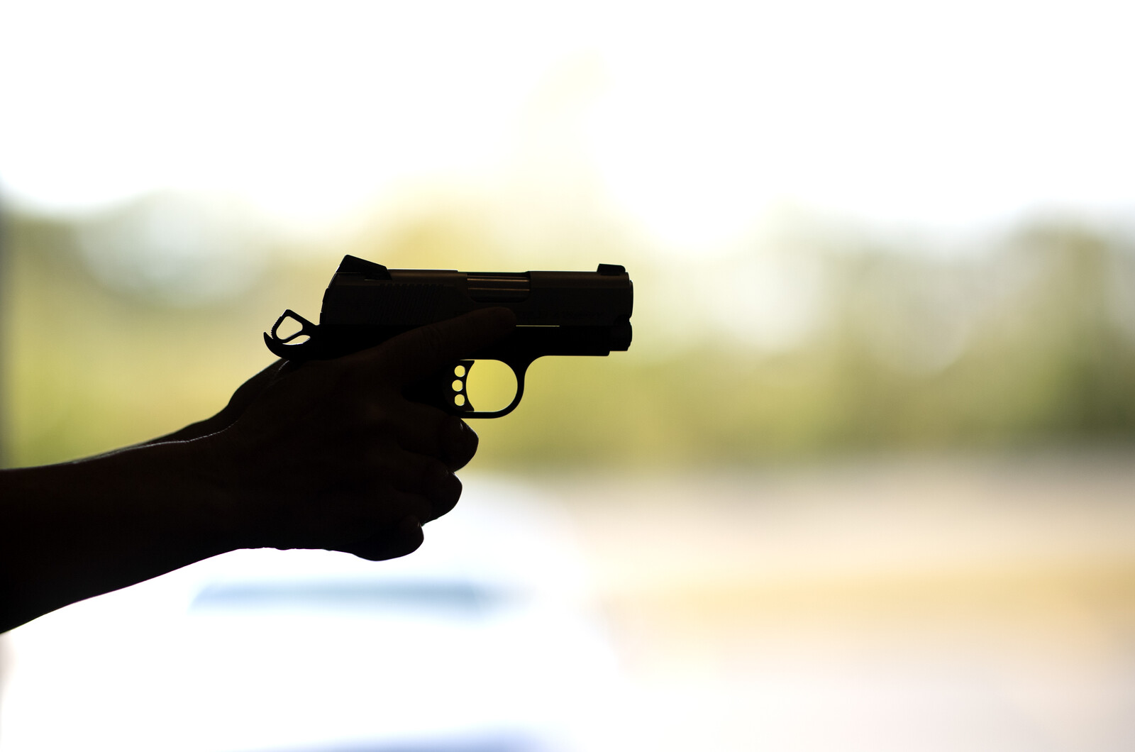 Every Fifth Swede Wants Firearms at Home | Sweden Herald