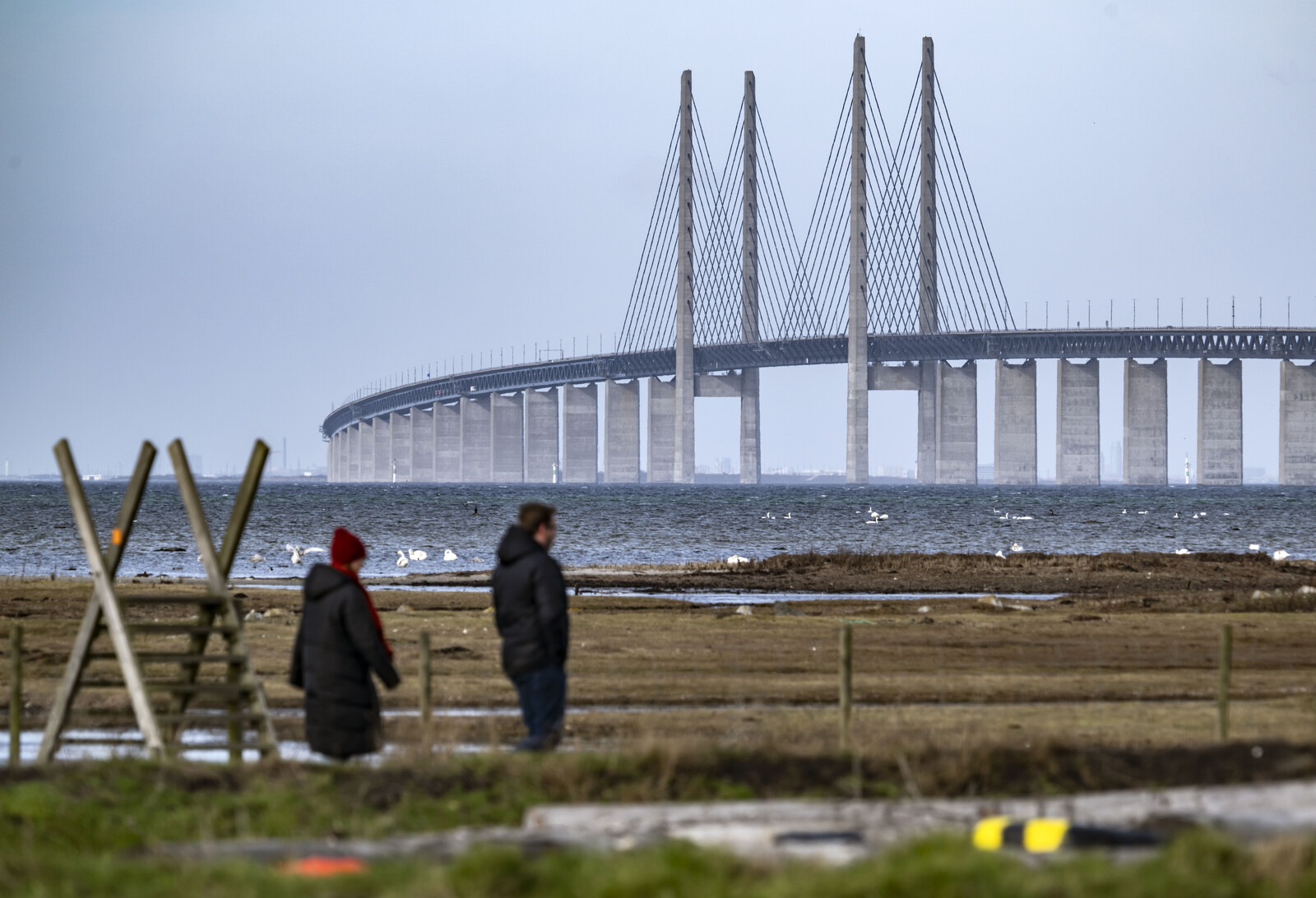 Öresund Bridge reopened after accident | Sweden Herald