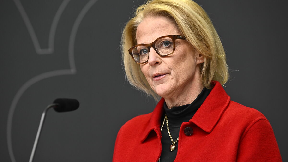 Svantesson: We will fight hard against Trump's tariffs | Sweden Herald
