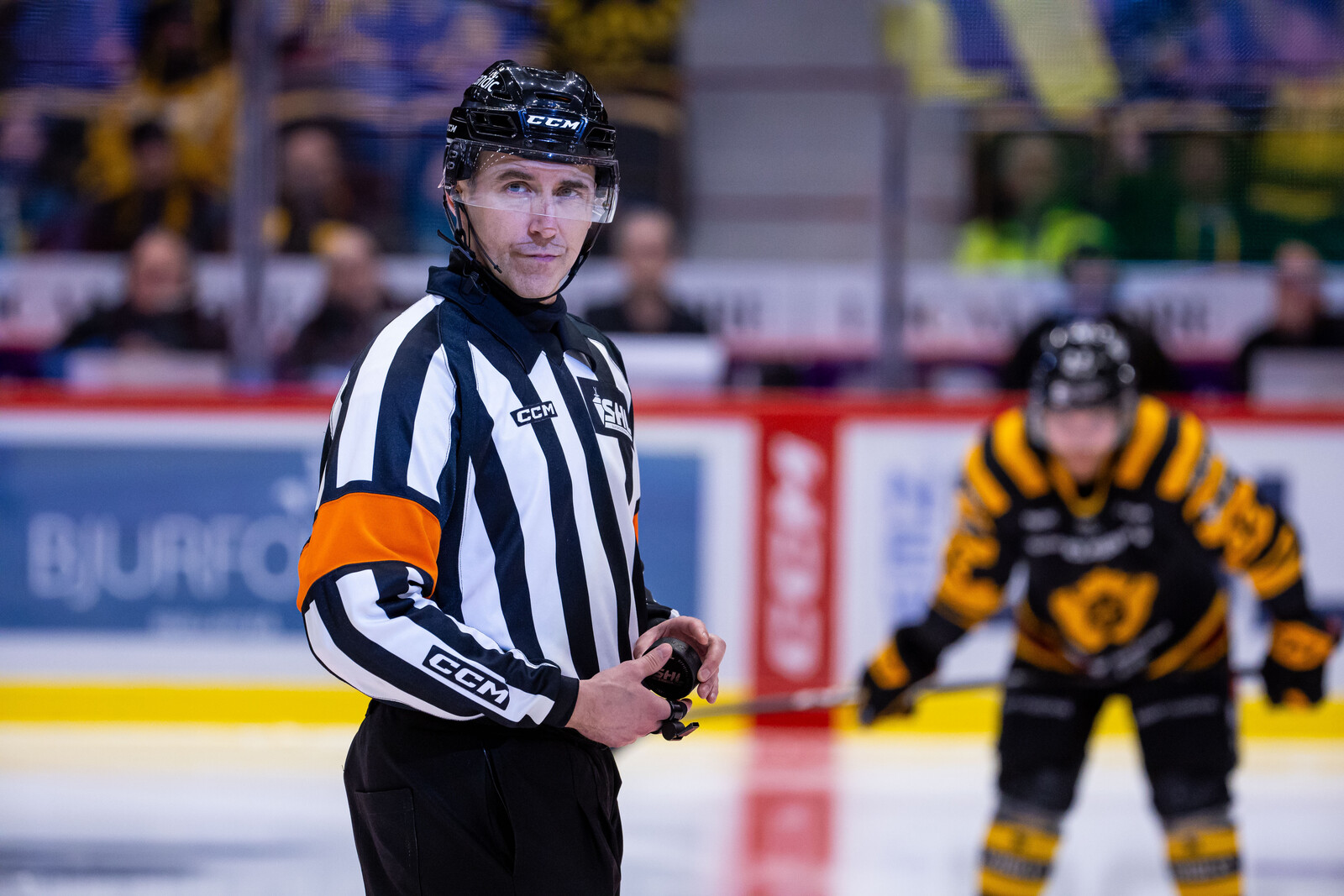 All SHL Referees Become Full-Time Employees | Sweden Herald