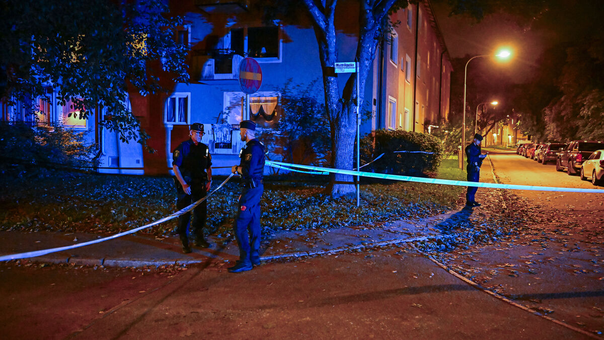 17-year-old murder suspect extradited from Spain | Sweden Herald