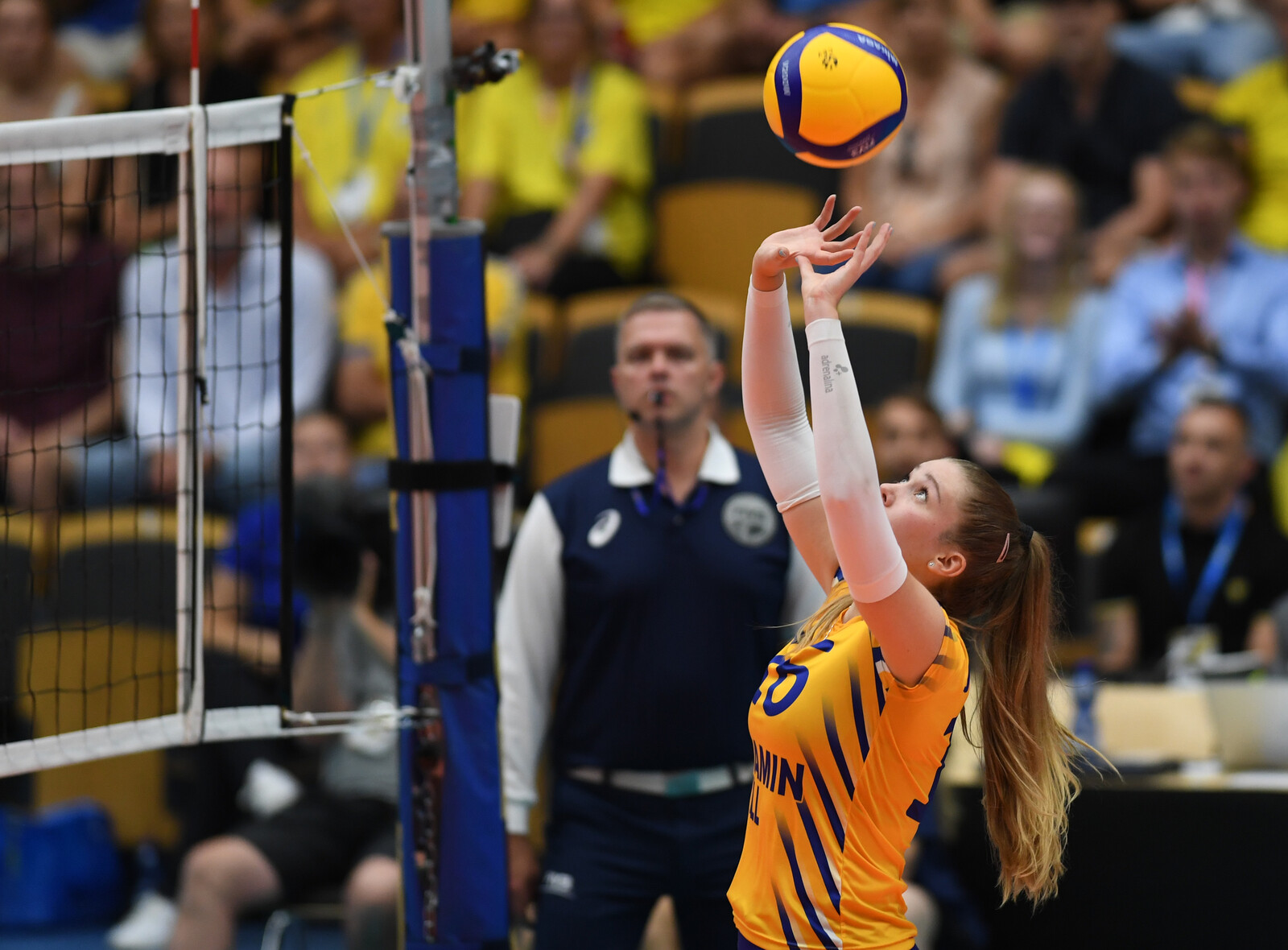 Volleyball Profile Injured - Misses World Championship | Sweden Herald