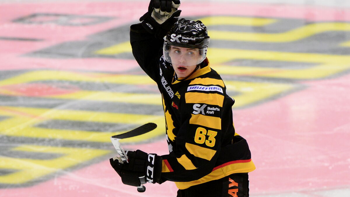 Sebastian Aho returns to the SHL after nine years in North America ...