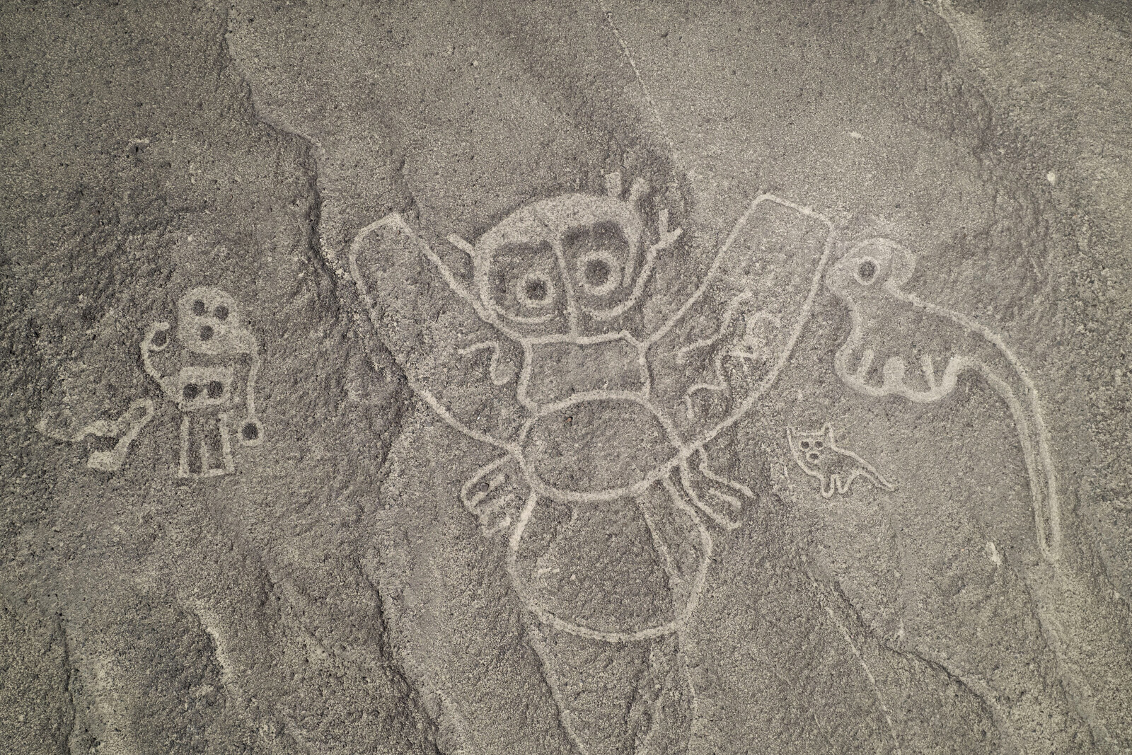 Hundreds of new Nazca lines discovered – with AI | Sweden Herald