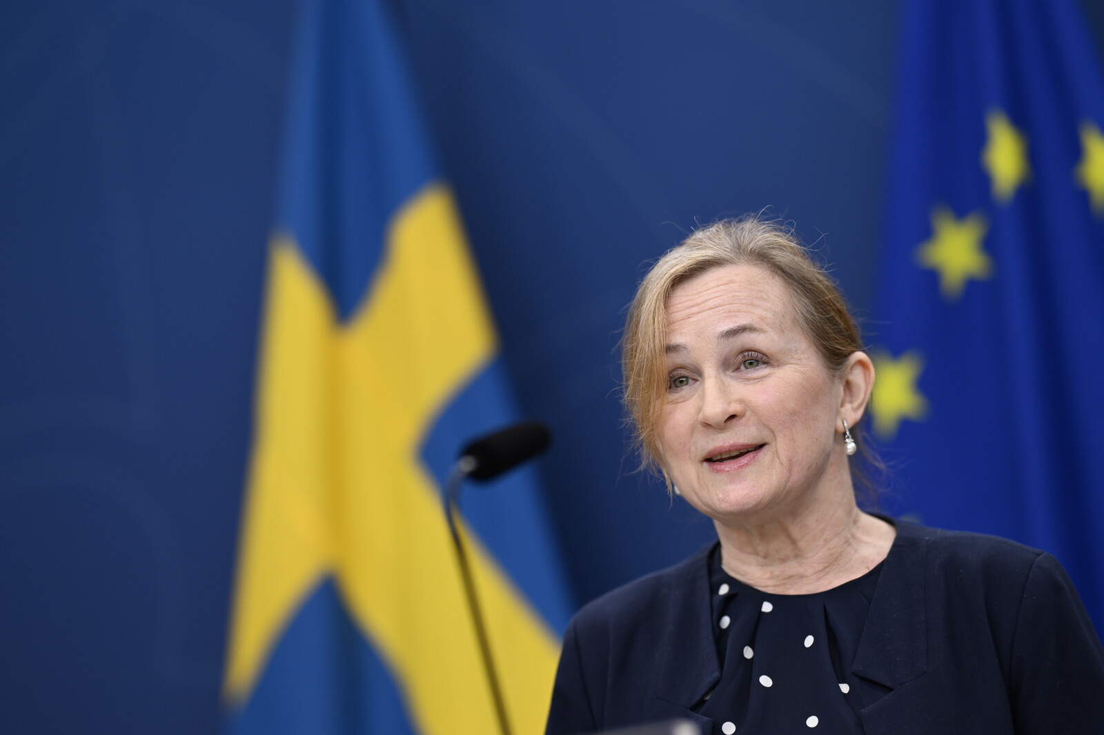 Ann Lindberg to Lead Sweden's Medical Products Agency | Sweden Herald