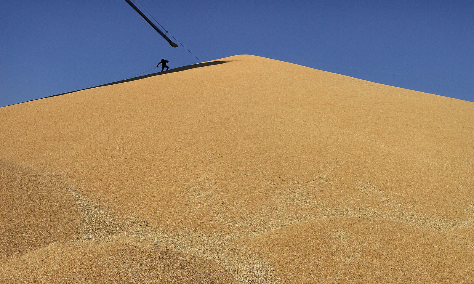 300 Tons of Wheat Spill in Åhus Harbor After Silo Burst | Sweden Herald