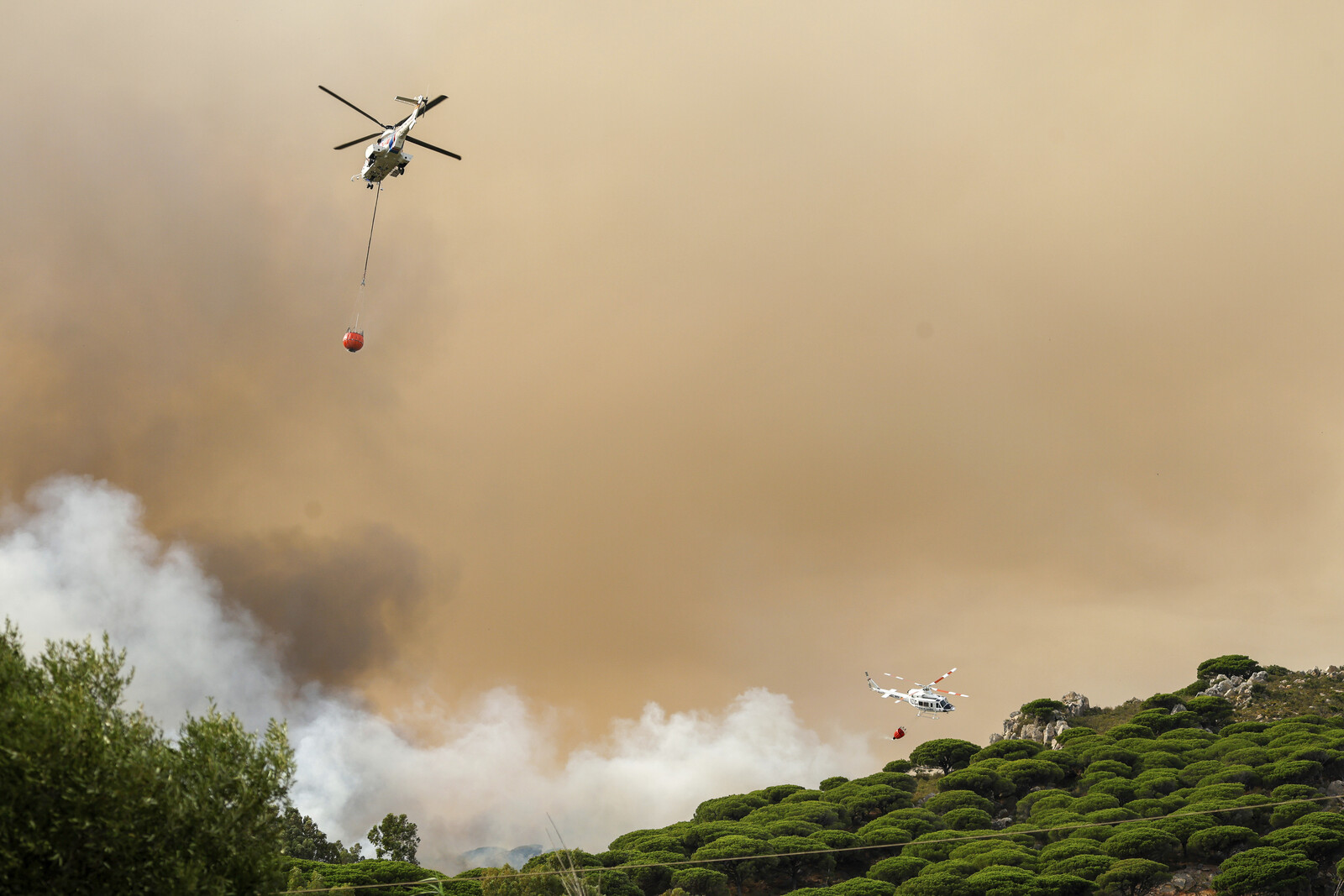 Evacuations Lifted in Tarifa After Forest Fire Stabilized | Sweden Herald