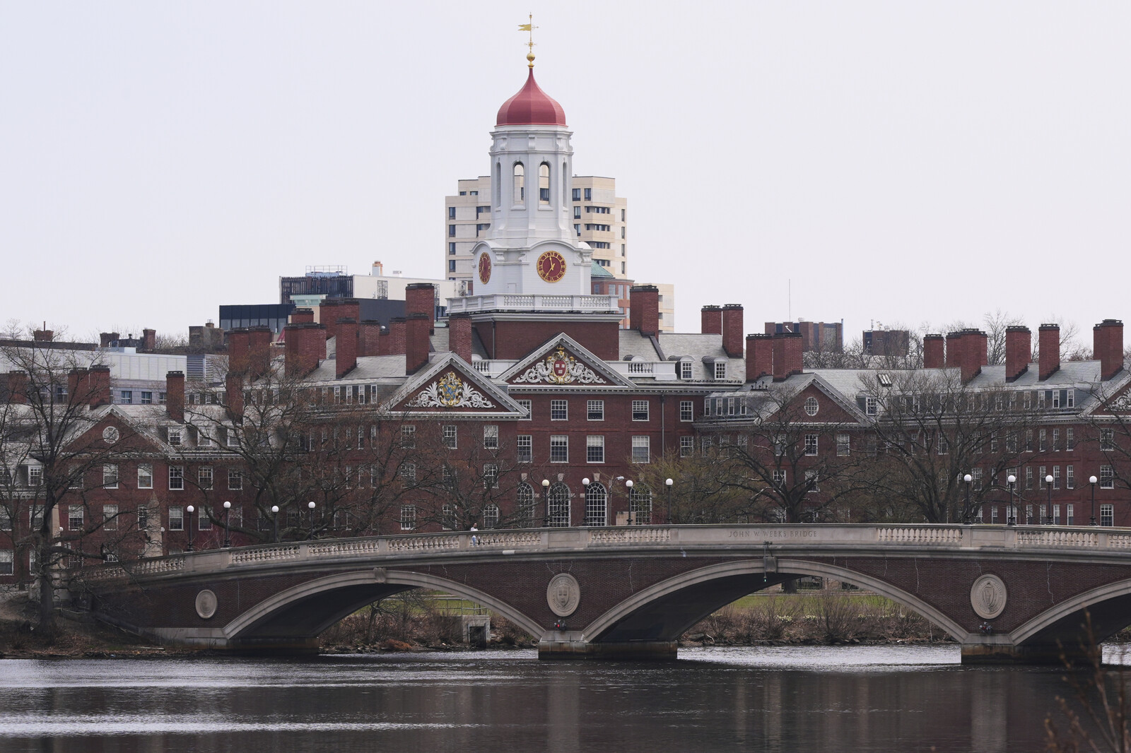 Harvard Challenges Legality of Tax Exemption Revocation | Sweden Herald