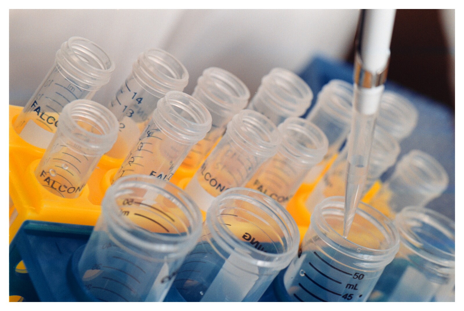 More get caught in drug tests – one industry stands out | Sweden Herald